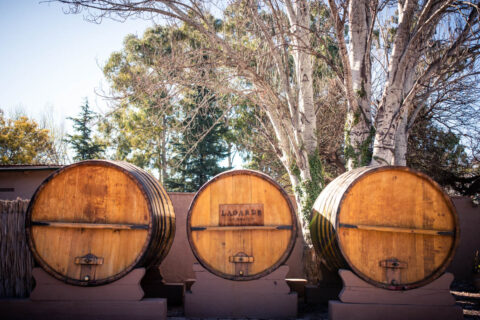 Visitando a bodega Lagarde em Mendoza